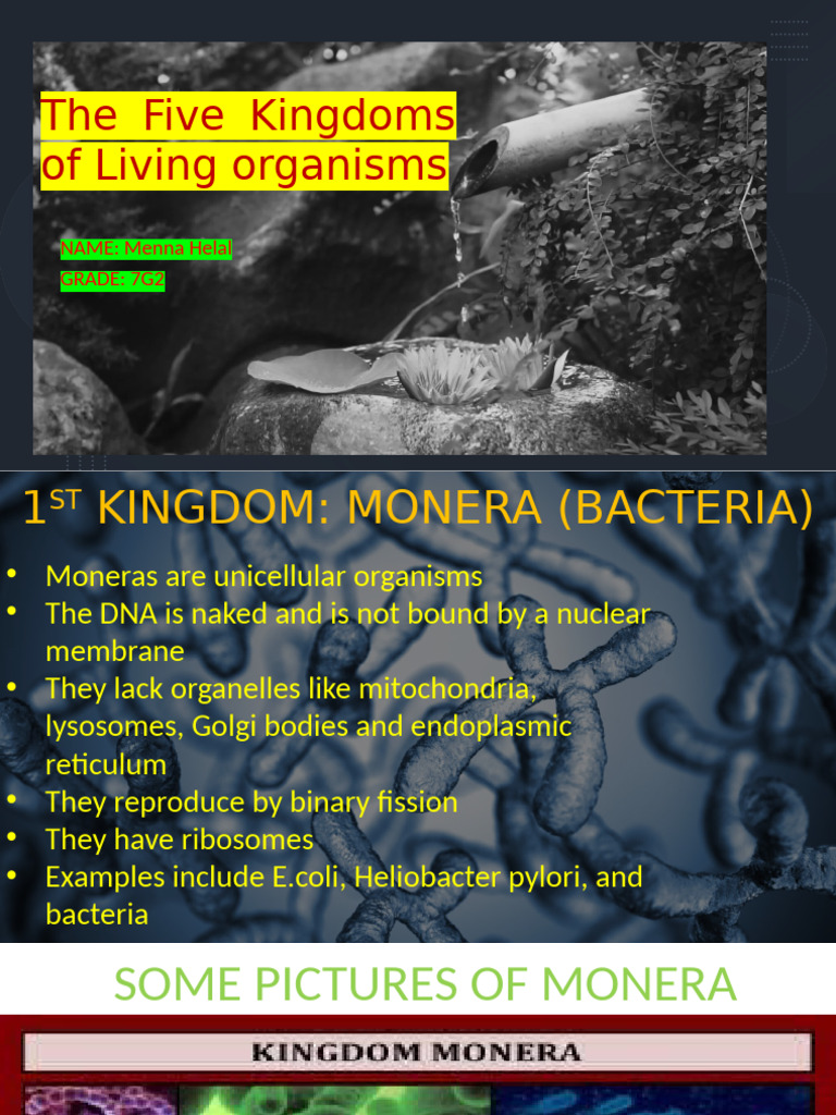 The Five Kingdoms of Living Organisms | PDF | Eukaryotes | Cell (Biology)