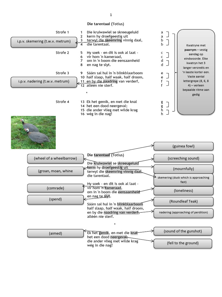 Die Tarentaal Totius GEDIG PDF | PDF