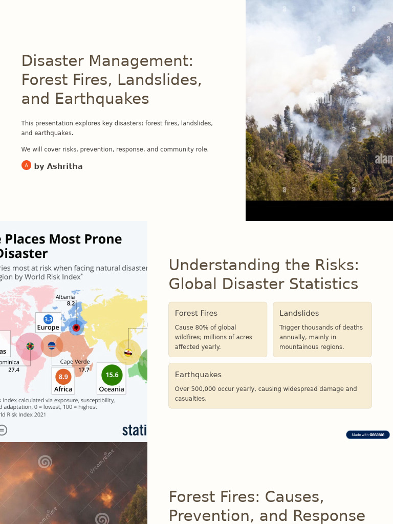 Disaster Management Forest Fires Landslides and Earthquakes | PDF ...