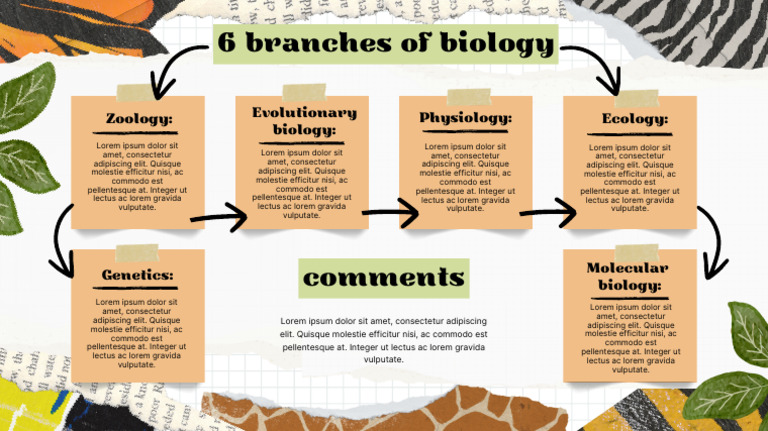 Orange and White Collage Biology Mind Map Brainstorm | PDF