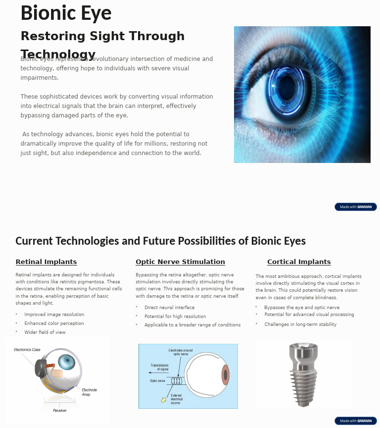 Bionic Eye Restoring Sight Through Technology | PDF