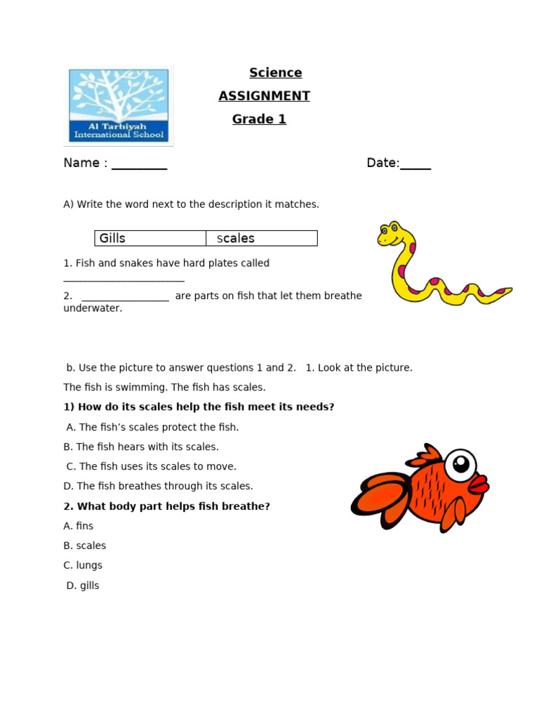 2nd Science Assignment Grade 1 | PDF