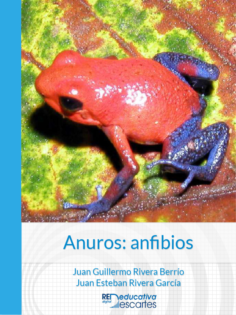 Ranas Chillonas: Familia Arthroleptidae | PDF | Rana | Organismos anfibios