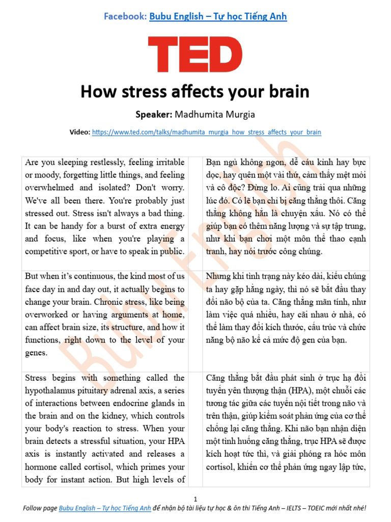 How Stress Affects Your Brain | PDF