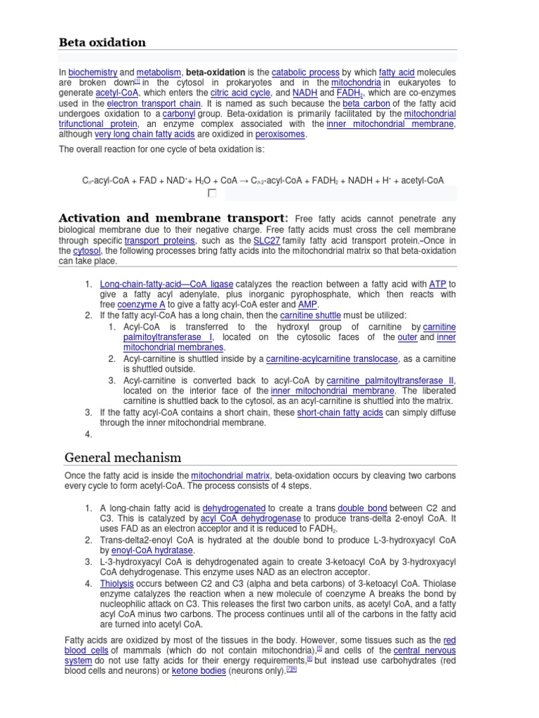 MLBG Beta Oxidation Sem2 | PDF | Diet & Nutrition | Chemistry