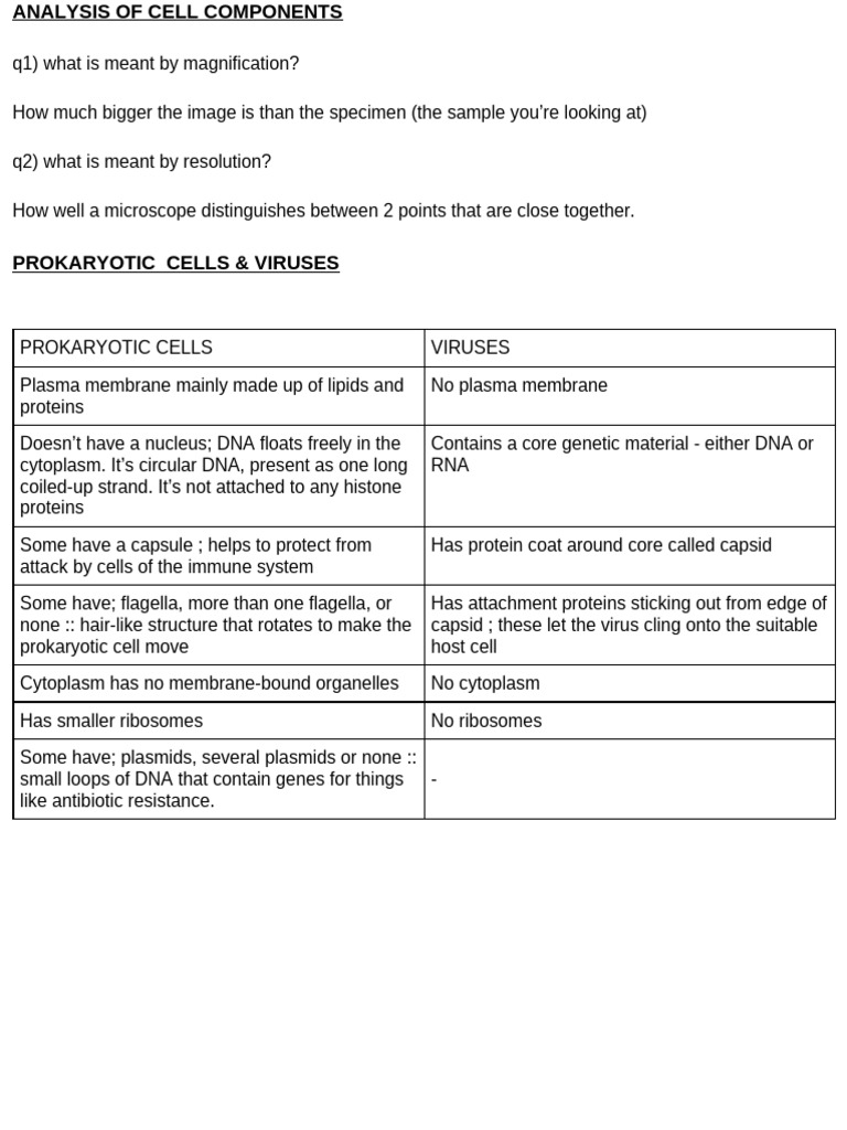Prokaryotic Cells vs. Viruses Explained | PDF