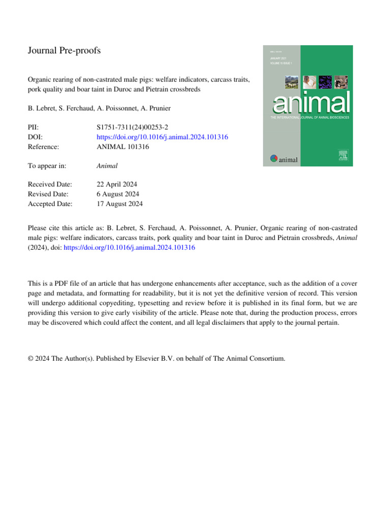 Organic Rearing of Male Pigs: Welfare & Quality | PDF | Pig | Meat
