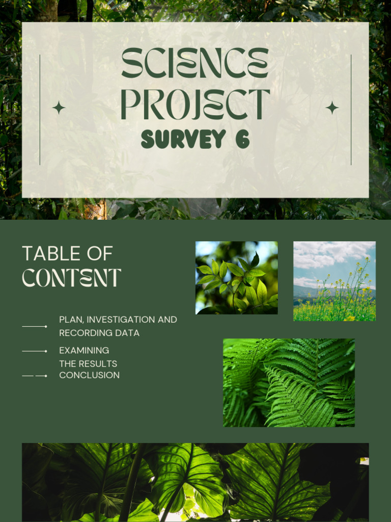 Science Project | PDF