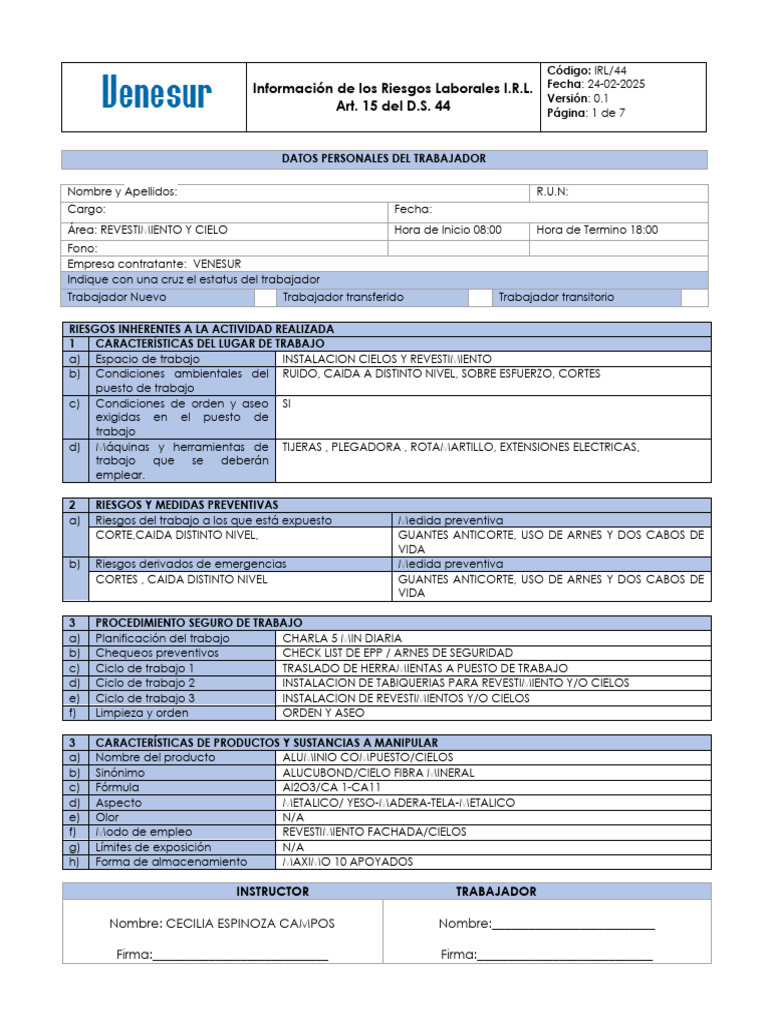 Formato de Irl Hojalatero y Cielo Americano | PDF