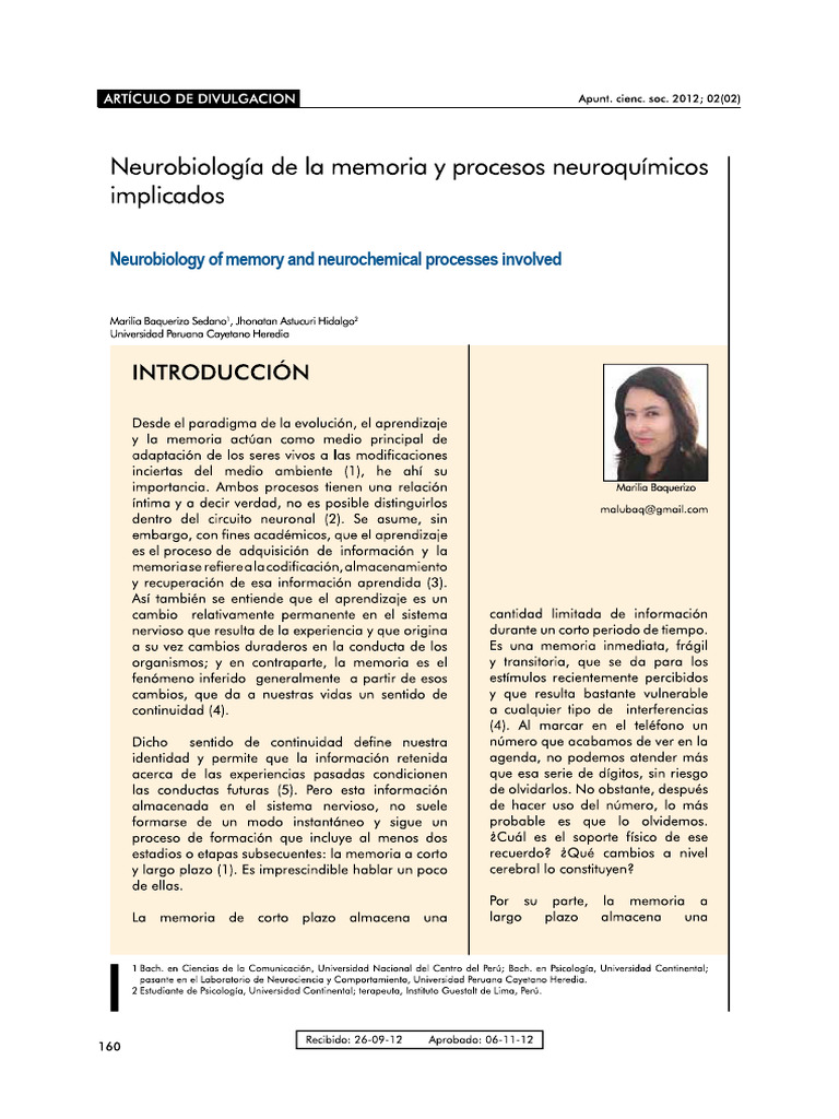 Neurobiology of Memory and Neurochemical Processes Involved | PDF