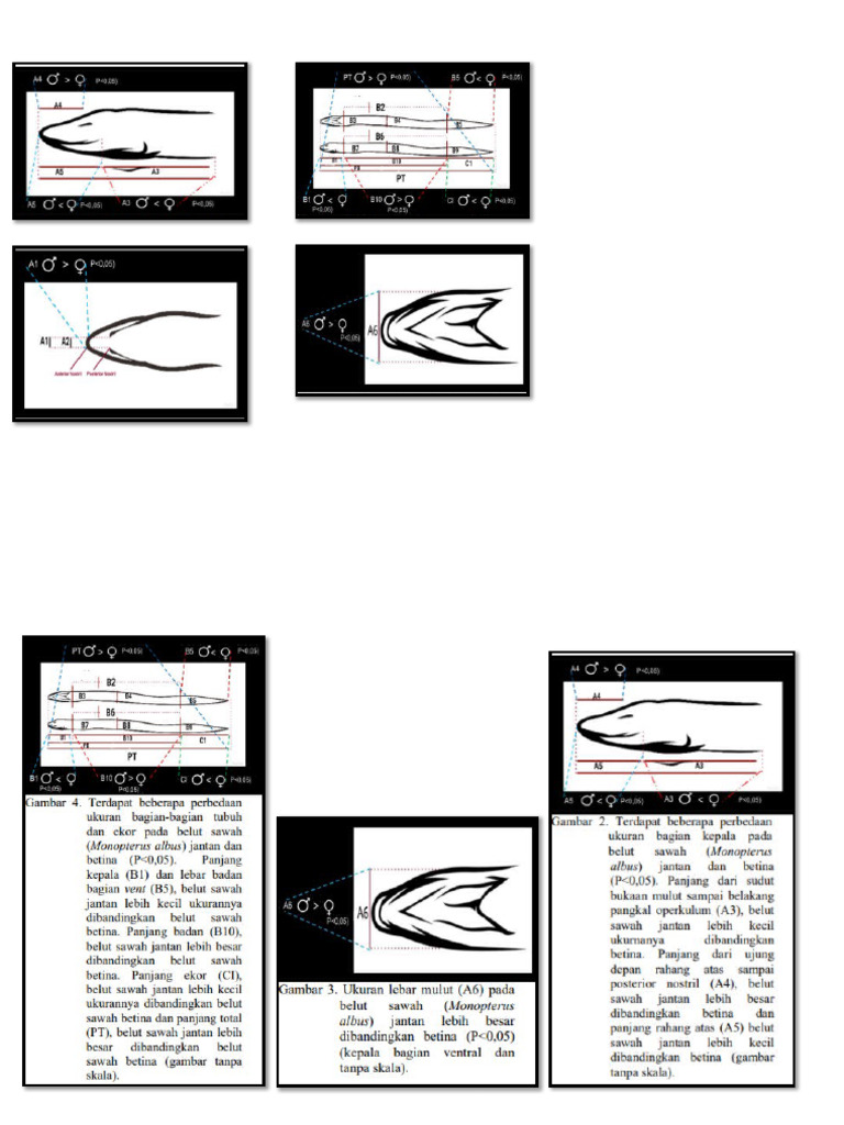 gambar 1-4 TPI | PDF