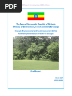 Human Rights Based Approach-PANEL PRINCIPLES | PDF