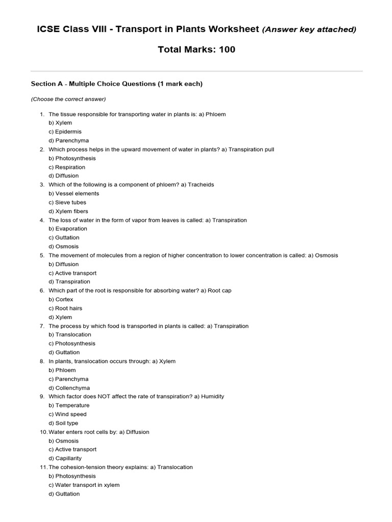 Transport in Plants - Worksheet | PDF | Stoma | Root