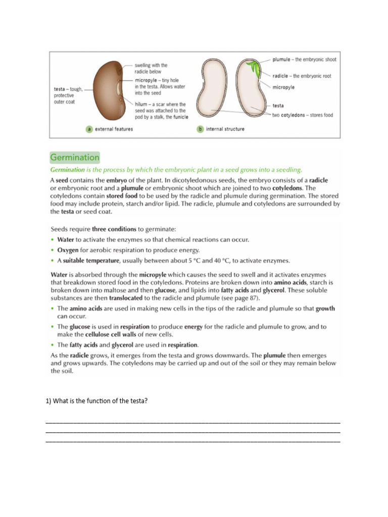 Biology Worksheet 18.2.25 | PDF