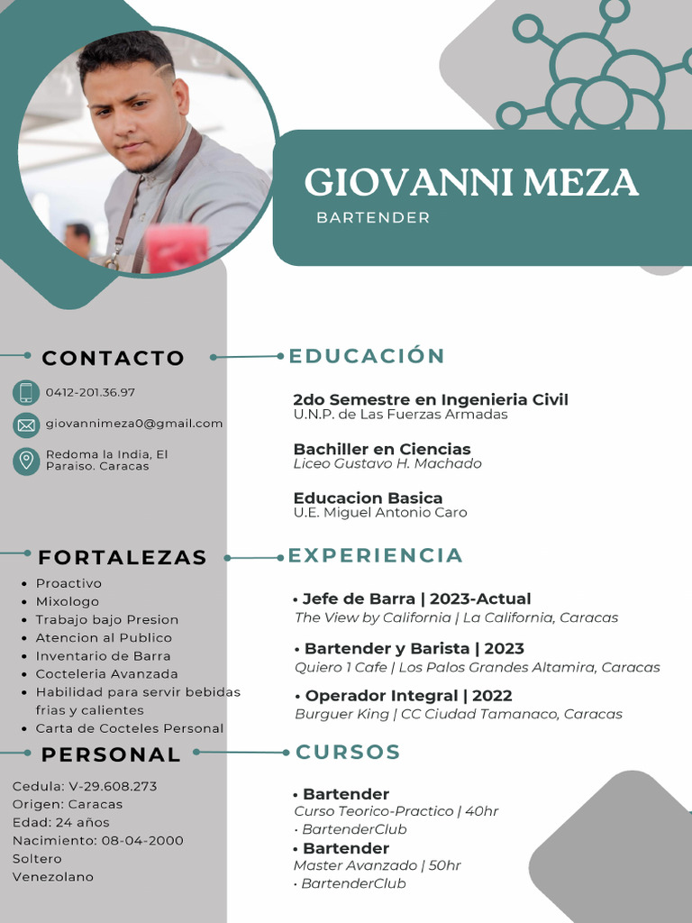 Currículum GM | PDF