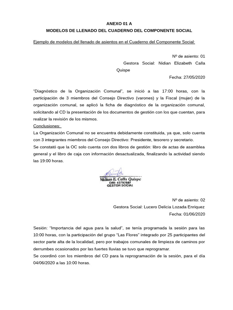 Anexo #01 A - Modelo de Llenado Del Cuaderno Del Componente Social | PDF