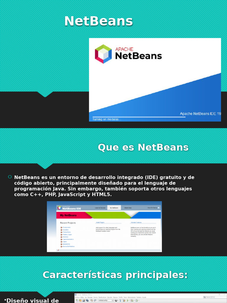 N 07 NetBeans Formularios | PDF