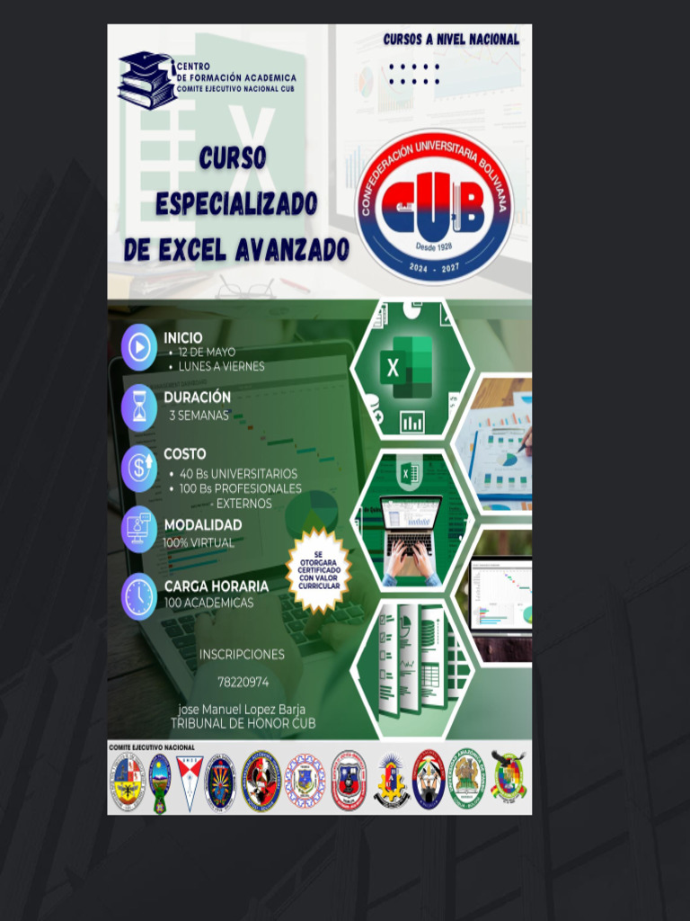Afiche Excel Avanzado | PDF