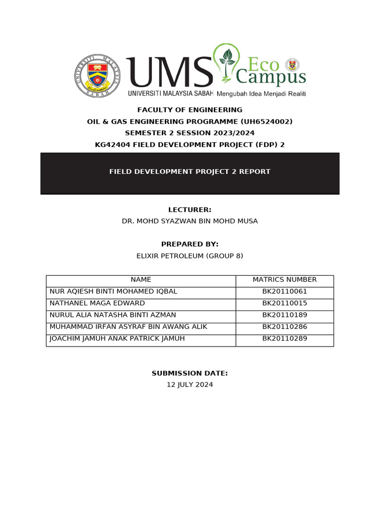 Report FDP 2 | PDF | Petroleum Reservoir | Porosity