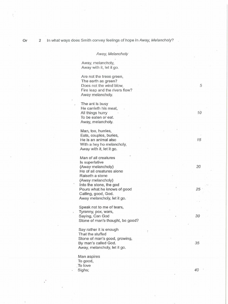 3 X Long Poems With Essay Questions | PDF