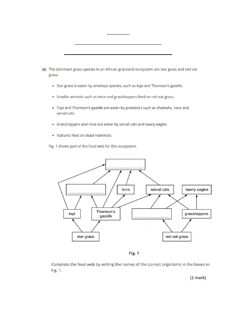 Grade 10 Assignment Chapter 18 | PDF