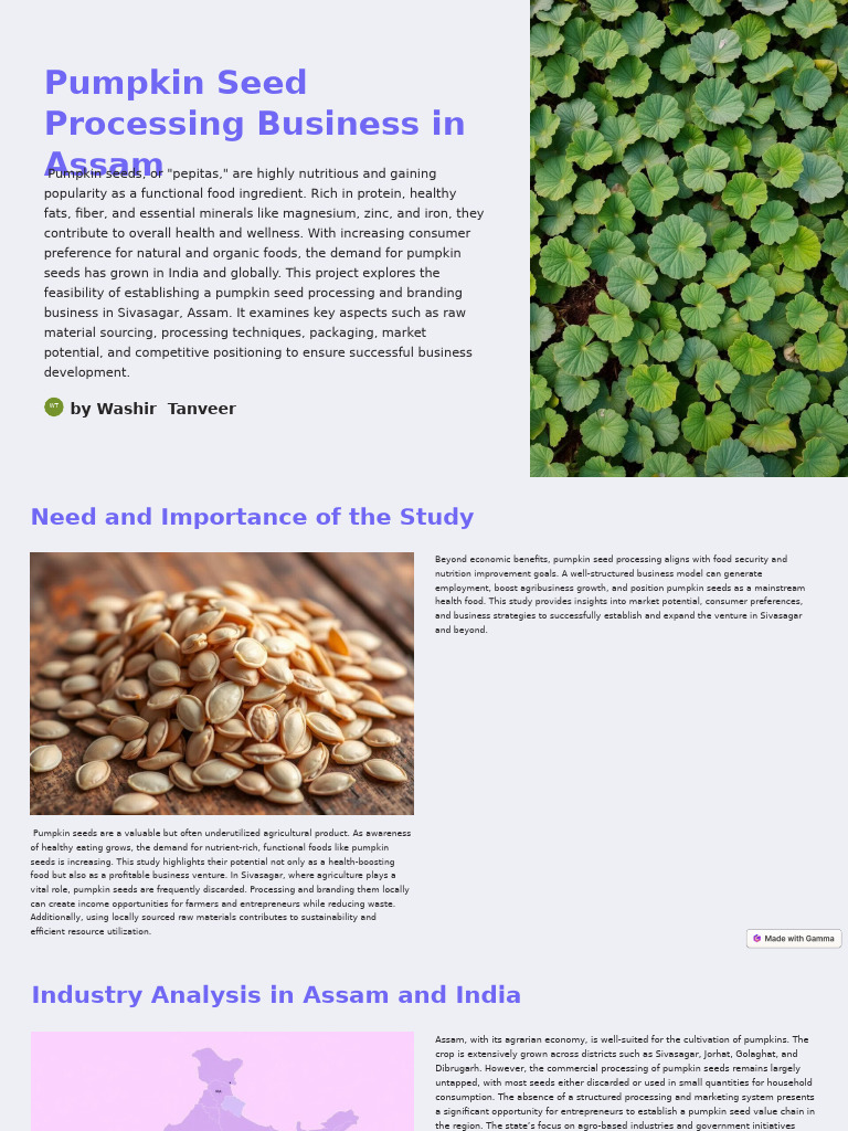 Pumpkin Seed Processing Business in Assam | PDF | Foods | Brand