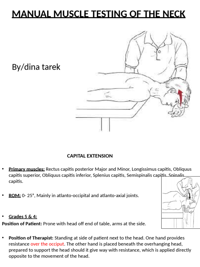 Manual Muscle Testing of The Neck Presentation | PDF | Anatomical Terms ...