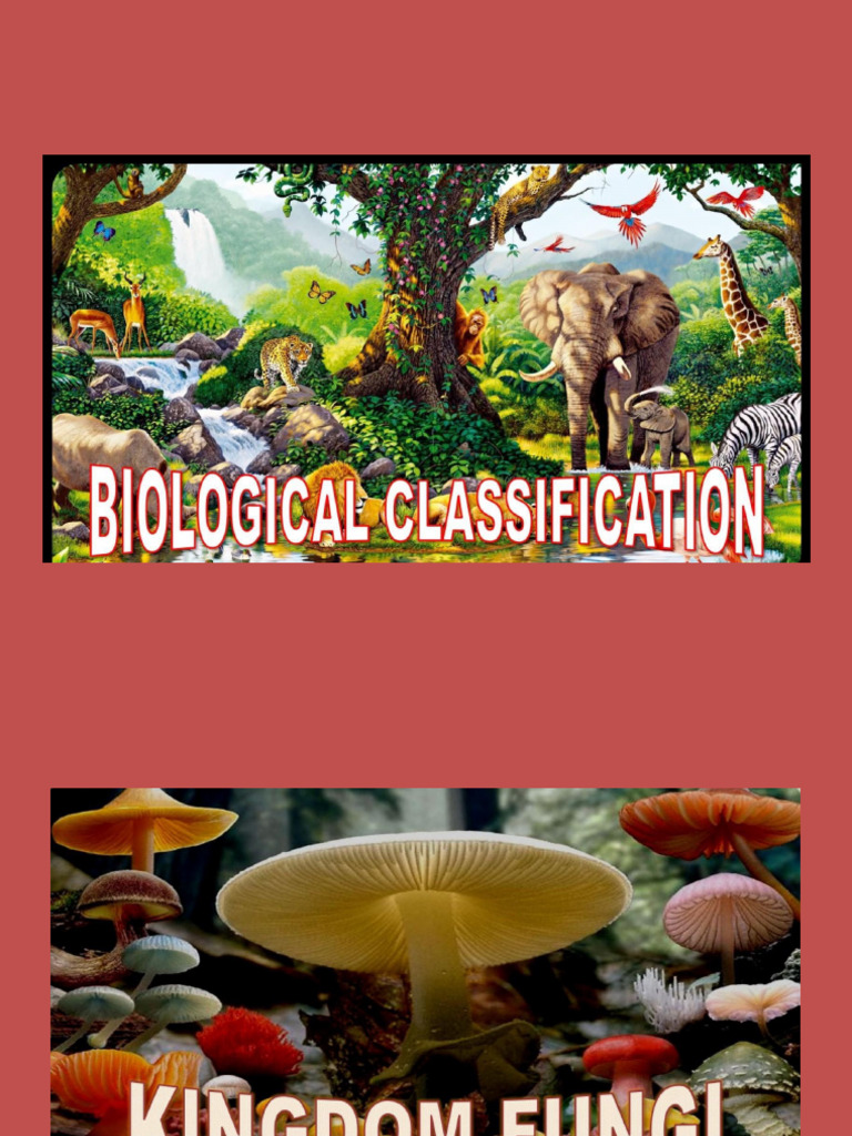 2 Biological Classification Fungi | PDF