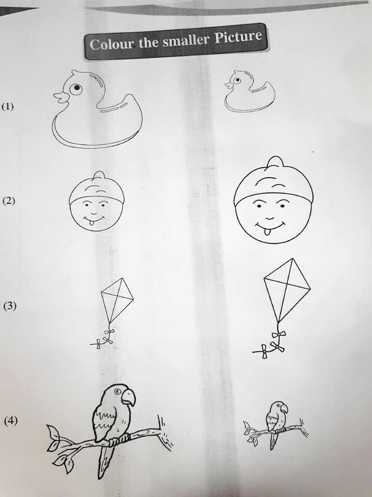 Math Worksheet | PDF