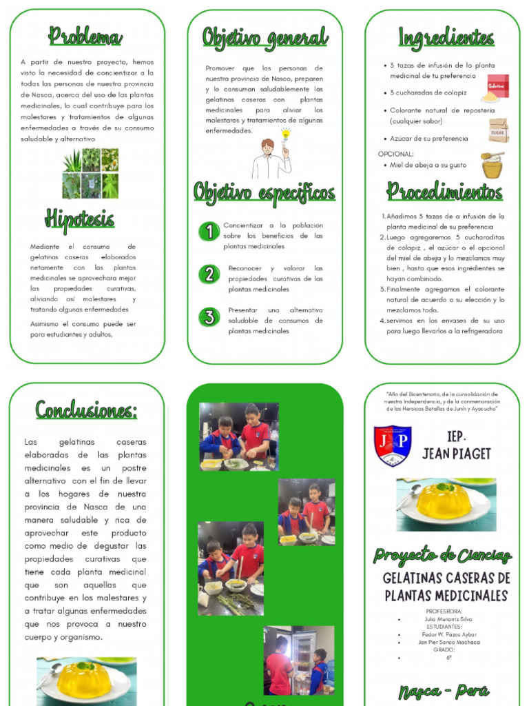 Triptico Fencyt | PDF