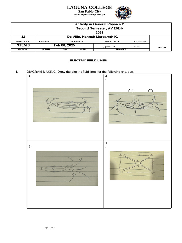 Electric Field Lines Activity Guide | PDF | Electric Field | Physics
