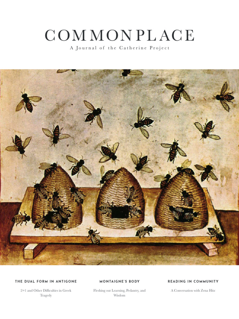 Commonplace Journal: Summer 2023 Insights | PDF