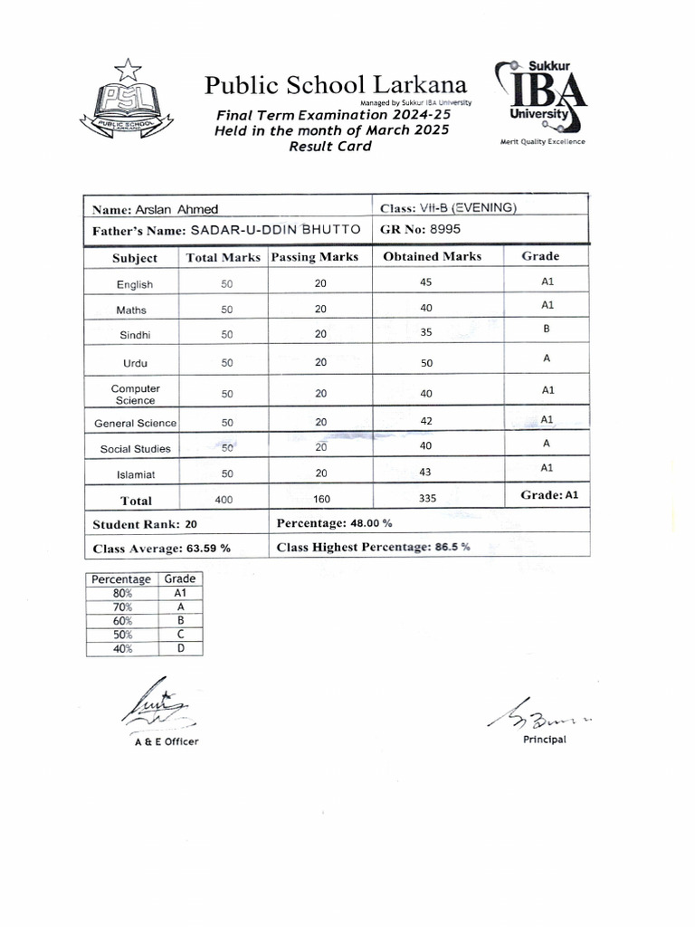 Public School Larkana Final Term Examination 2024-25 Result Card | PDF