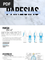 Marcha Trendelenburg: Análisis y Alteraciones | PDF | Pelvis | Sistema ...