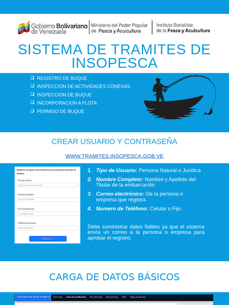 Sistema de Tramites de Insopesca | PDF