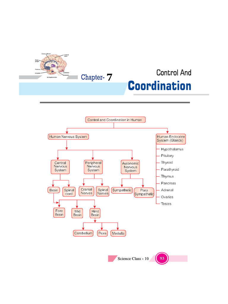 std10 Science ch6 Eng SM 2024-25 | PDF
