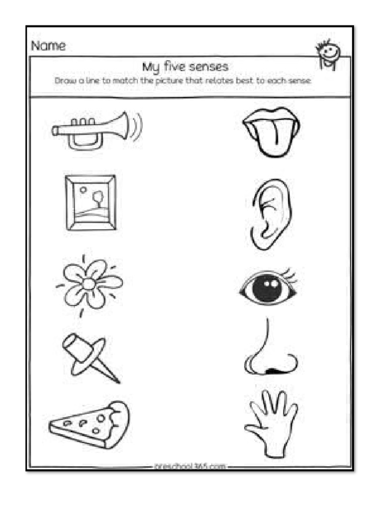 5 Senses Worksheet | PDF