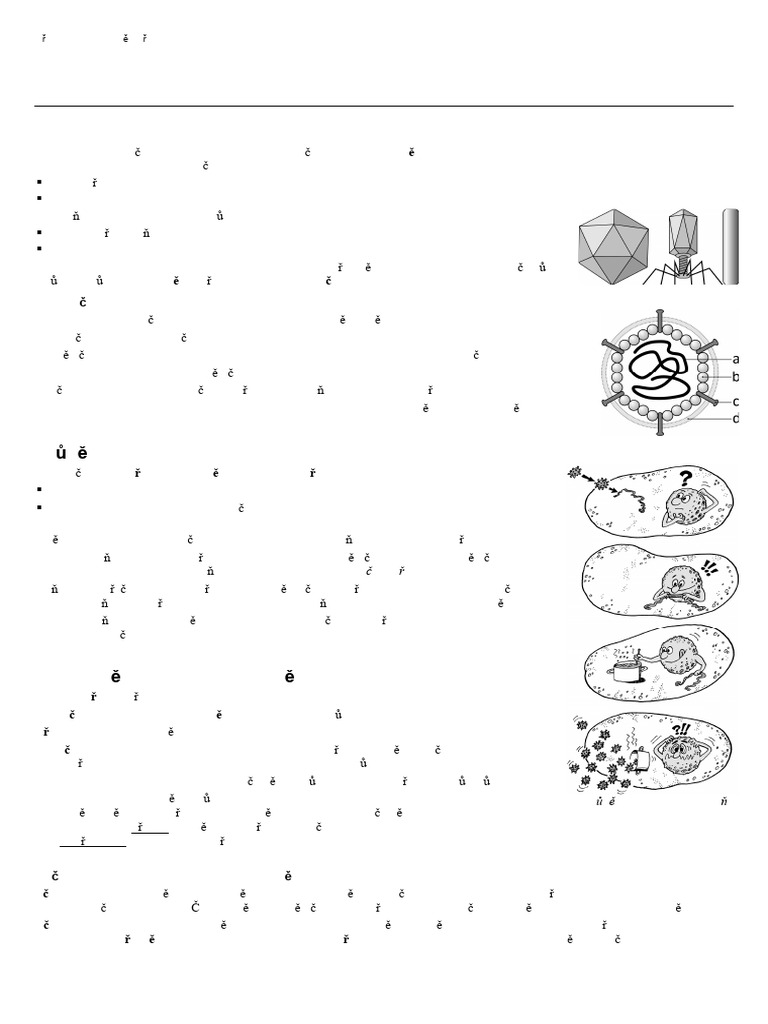 Prehled U02 Viry Bakterie | PDF