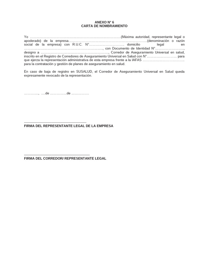 ANEXO 6 Carta de Nombramiento | PDF