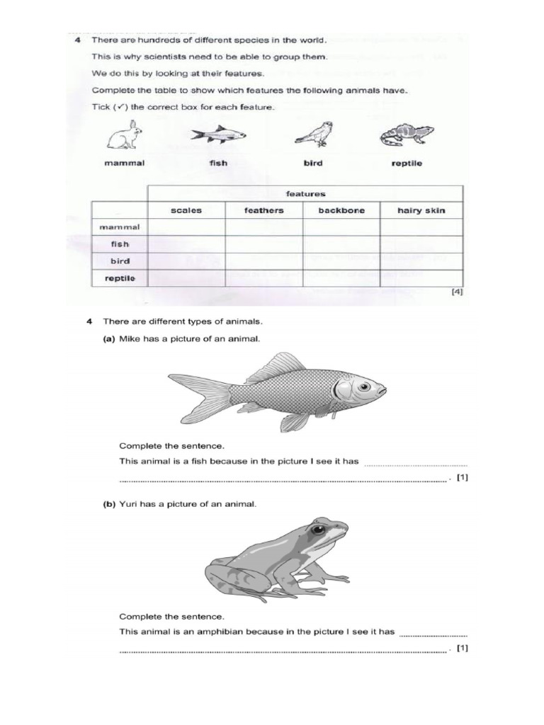 3 | PDF