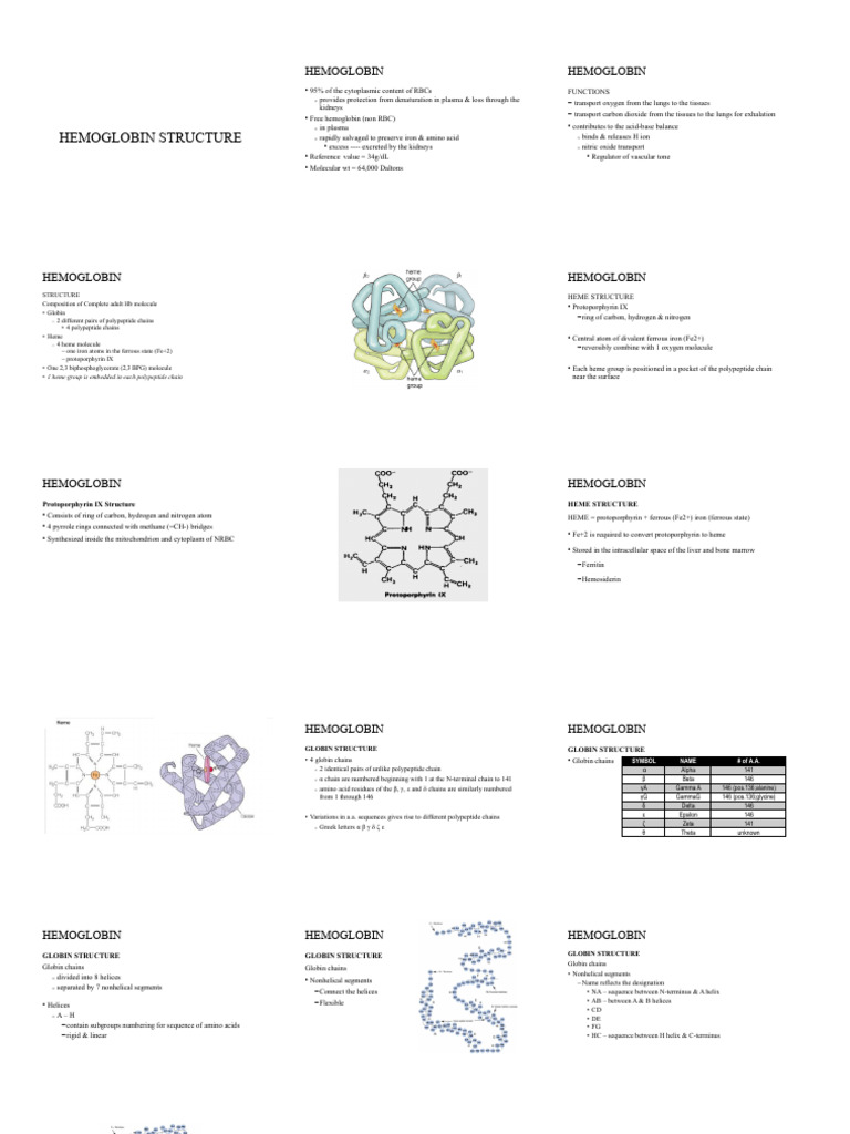 Hemoglobin Structure and Function Overview | PDF | Hemoglobin | Alpha Helix