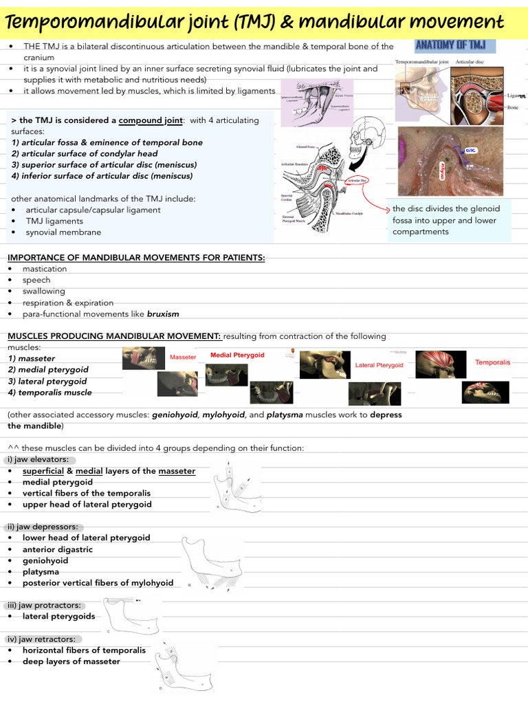 TMJ Movements and Mandibular Function | PDF | Musculoskeletal System ...