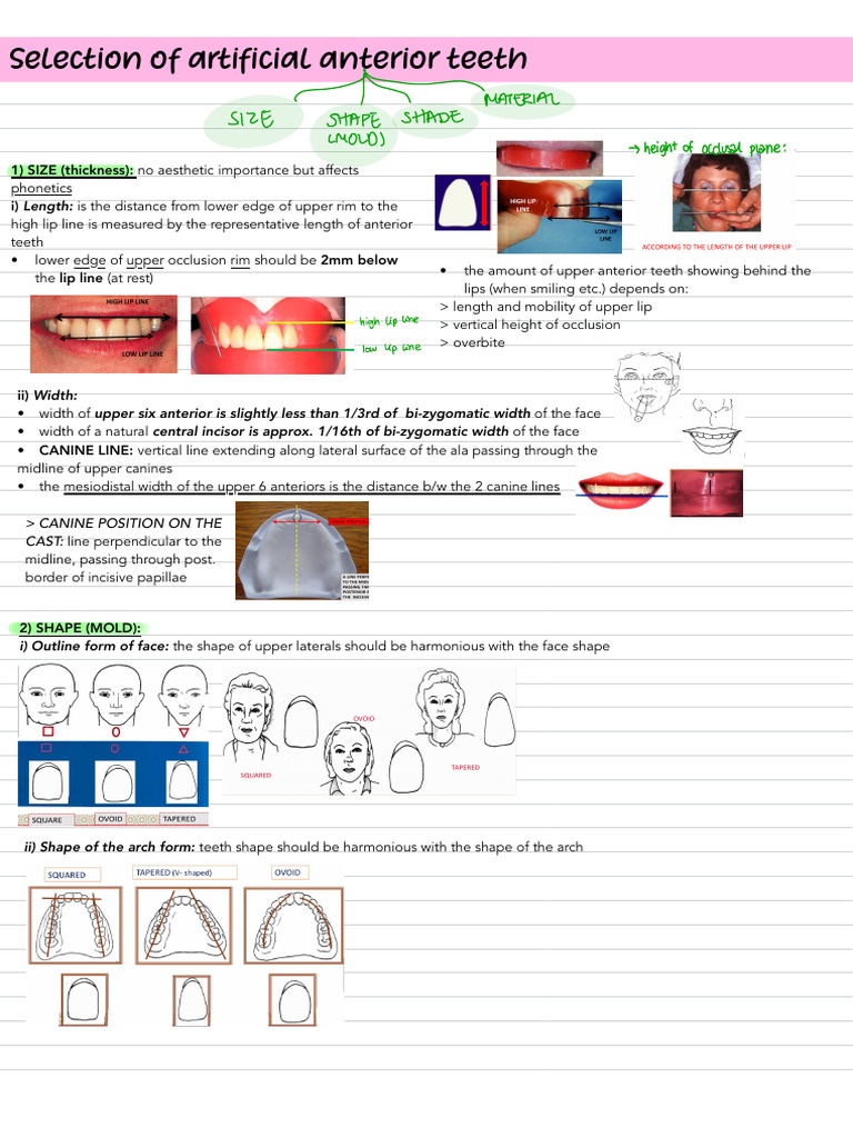 Week 11 Selection of Artificial Ant. Teeth | PDF | Dentures | Dentistry