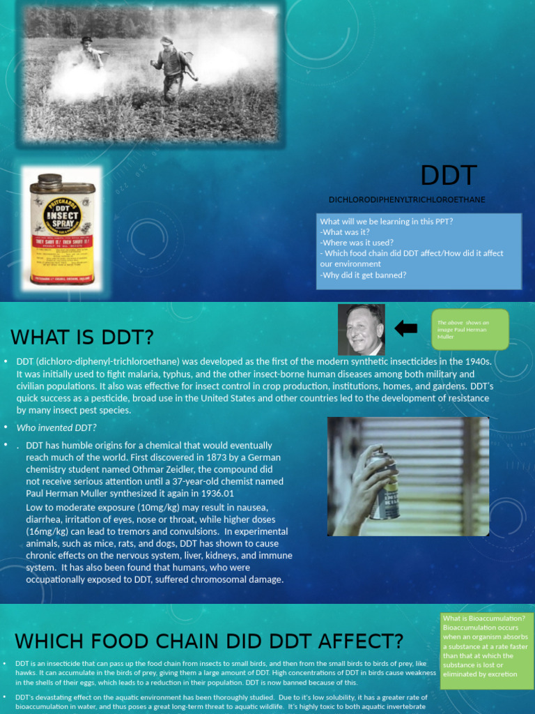 DDT Presentation-Biology | PDF | Ddt | Pesticide