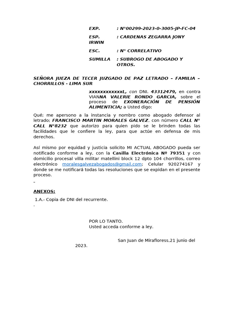 Subrogo de Abogado y Otros | PDF