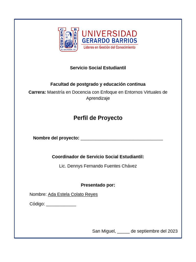 Instructivo Perfil de Proyecto | PDF