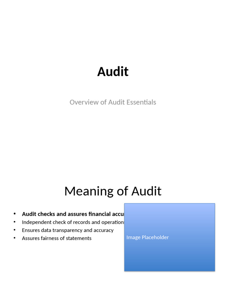Essential Guide to Auditing Basics | PDF | Audit | Accounting