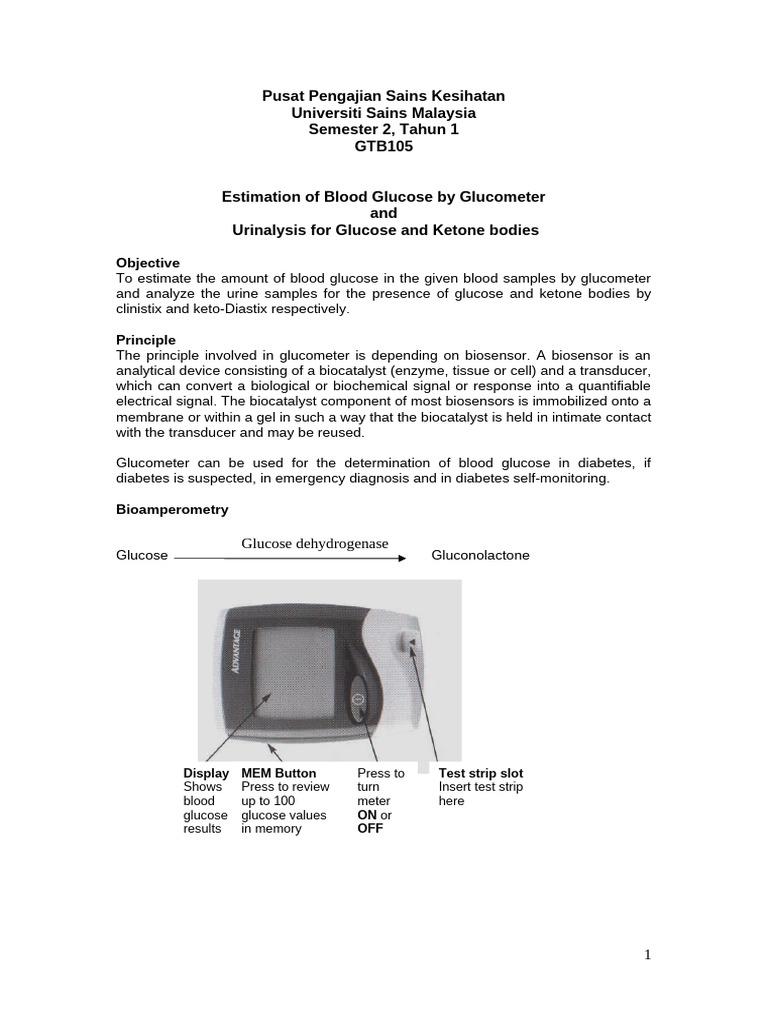 Practical 1 Handout | PDF | Glucose
