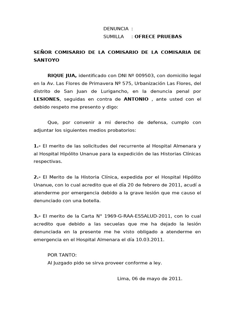 Adjunta Pruebas | PDF