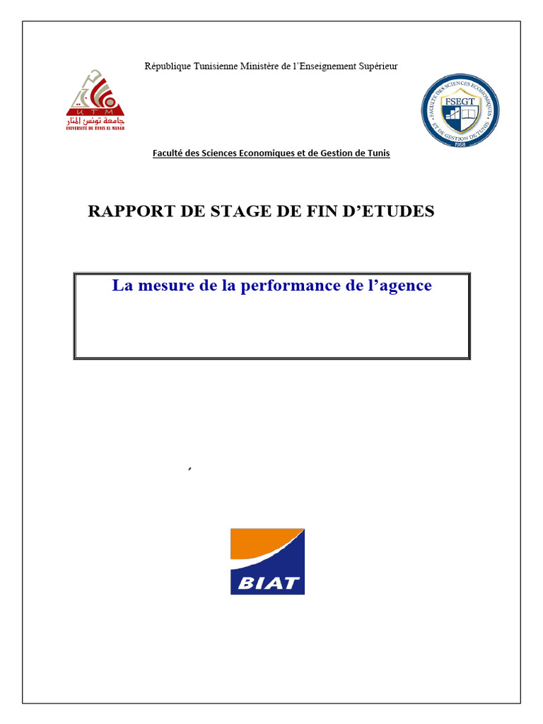 Performance de la BIAT et contrôle de gestion | PDF | Banques | Chèque